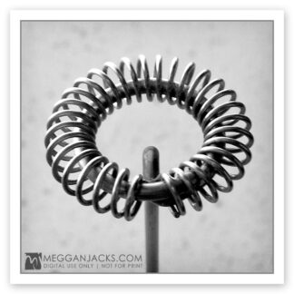 Blog Carousel – Mystery Macro – Phoenix Professional Photographer